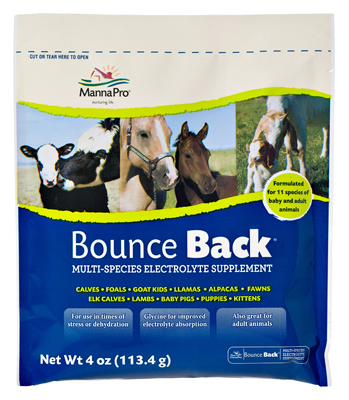 Bounce-Back Electrolyte Supplement For Livestock, 4-oz. - True Value ...