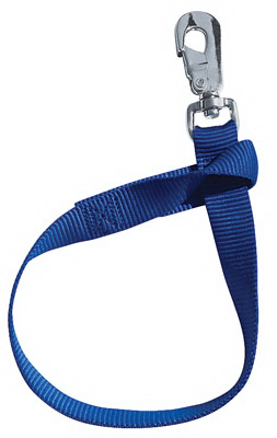 Bucket Strap, Blue Nylon, 1 x 22 In. - True Value Hardware