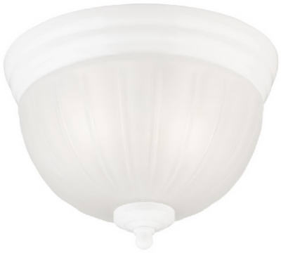 2-Light Ceiling Fixture - True Value Hardware