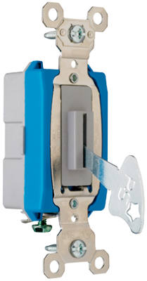 Pass & Seymour Heavy-Duty Keyed Switch, Single-Pole Toggle, 15A Gray ...