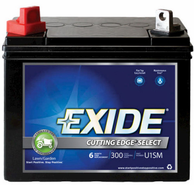 12-Volt Cutting Edge Lawn Tractor Battery, Right Side, 300 Amps - True ...