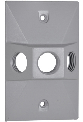 Weatherproof Rectangular Lampholder Cover, Gray - True Value Hardware
