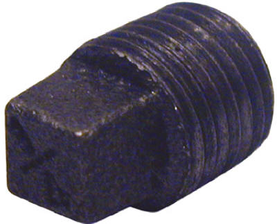1/4 In. Black Pipe Plug - True Value Hardware