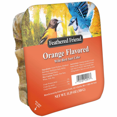 Orange Flavored Suet Wild Bird Food, 11.25 oz - True Value Hardware