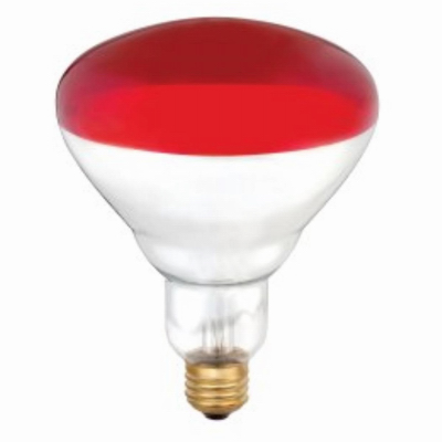 Infrared Incandescent Heat Lamp, Red, R40, 250 Watts, 6-Pk. - True ...