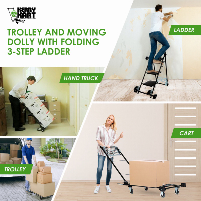 4 in 1 Utility Cart Dolly/Trolley/Hand Truck and Ladder - True Value ...