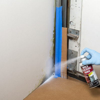 Mold Blocking Primer Spray, Flat White, 13 oz. Aerosol - True Value ...