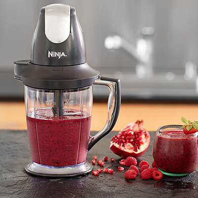 Master Food Prep Blender/Processor - True Value Hardware