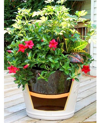 Ups-A-Daisy Planter Insert, 11-In. Round - True Value Hardware