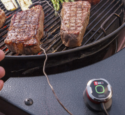 iGrill Mini Bluetooth Smart Thermometer - True Value Hardware