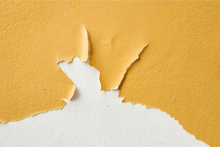 How to Fix Peeling Paint - True Value Hardware