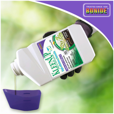 KleenUP he Weed & Grass Killer High Efficiency Formula, Fast-Acting ...