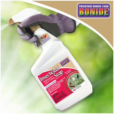 Insecticidal Soap, Multi-Purpose Insect Control for Organic Indoor ...