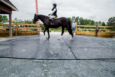 Equine Stall Mat, Rubber, 4 x 6-In. - True Value Hardware
