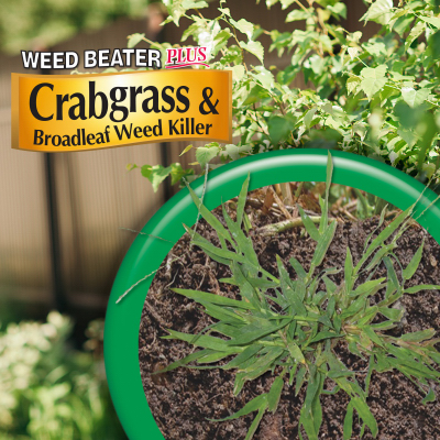 Weed Beater Plus Crabgrass Control, 32 oz. - True Value Hardware