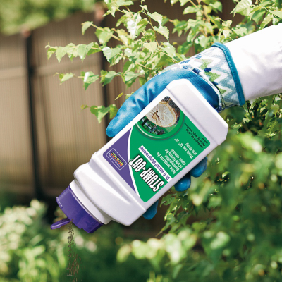 Stump-Out Granules, Do-it-Yourself At Home Stump Removal, Fast-Acting ...
