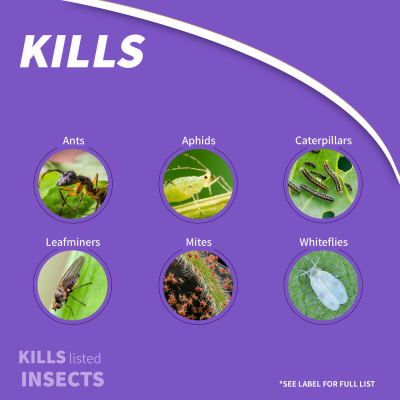 Rose Shield Systemic Insecticide + Fertilizer, 6 Lbs. - True Value Hardware