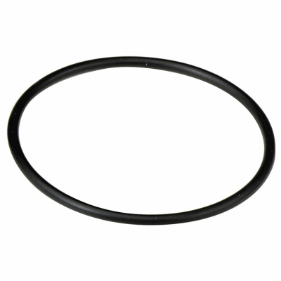 Water Filter Housing O-Ring - True Value Hardware