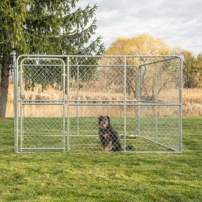 Chain Link Outdoor Pet Kennel, 10 x 10 x 6 Ft. - True Value Hardware
