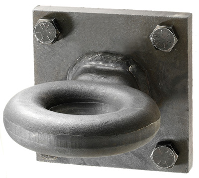 Lunette Eye Ring, 2.5-In. - True Value Hardware