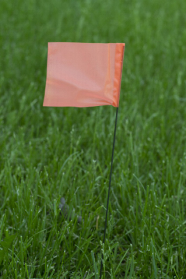 Marking Stake Flags, Fluorescent Orange, 2.5 x 3.5 In. Flag, 15 In ...