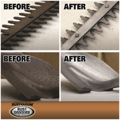 Rust Dissolver Gel, 32-oz. - True Value Hardware