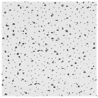 Radar Ceiling Tile, Shadowline Taper Edge, 2 x 2-Ft. - True Value Hardware