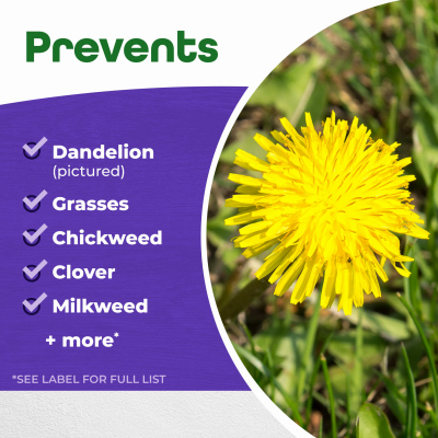 KleenUP he Weed & Grass Killer High Efficiency Formula, Fast-Acting ...