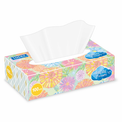 Facial Tissues, Unscented, Assorted Colors & Designs On Box, , 100-Ct ...
